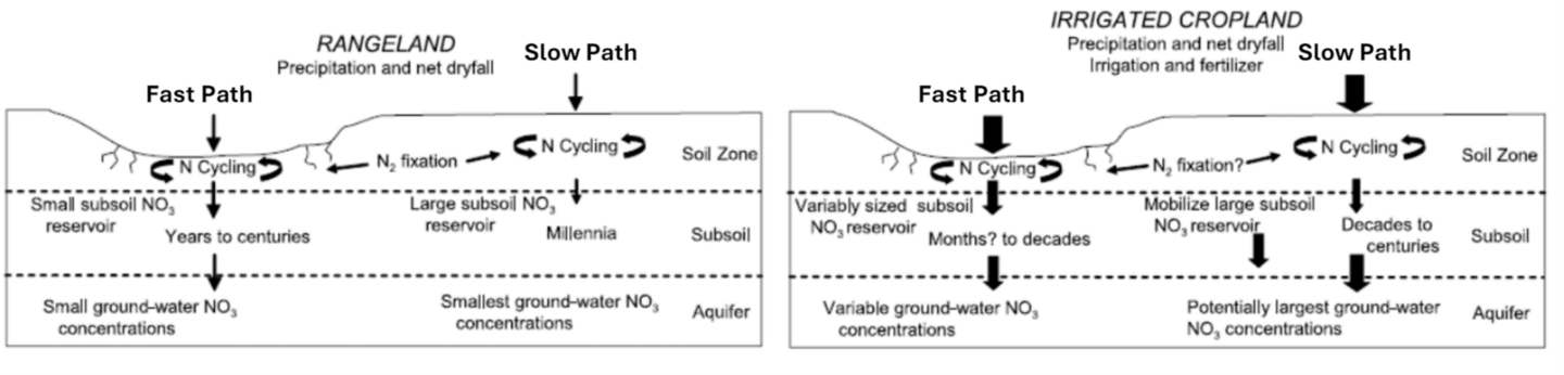 Groundwater Nitrate in Nebraska: Key Factors and Timescales of Movement ...