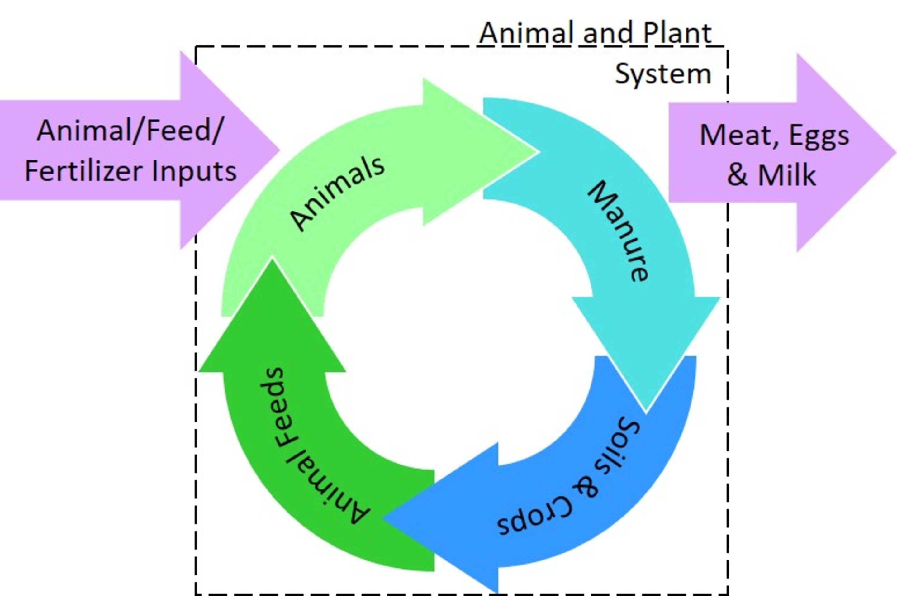What Are the Barriers and Benefits of Manure Use in Cropping Systems ...
