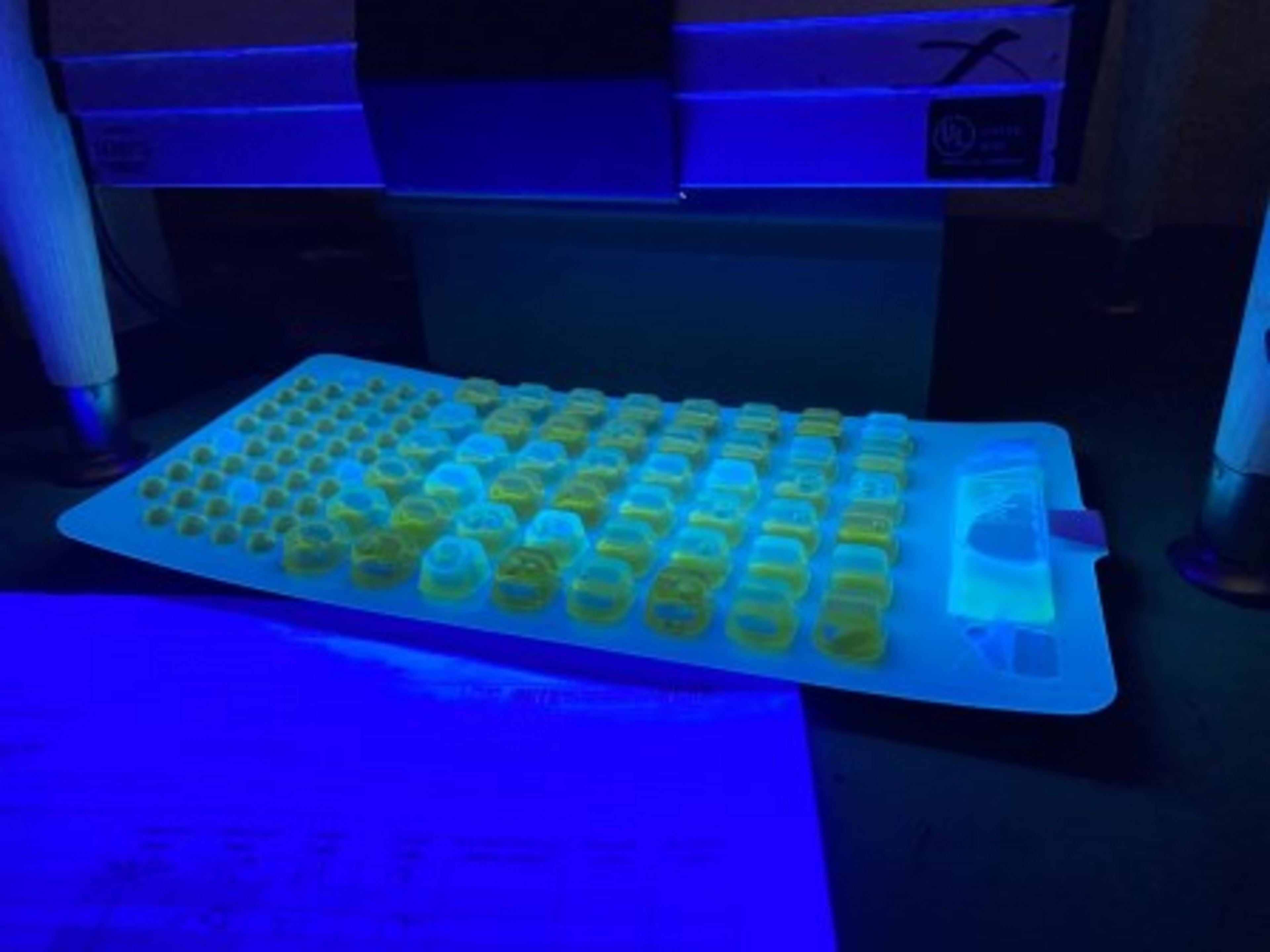 Understanding Bacteria in Lakes | UNL Water | Nebraska