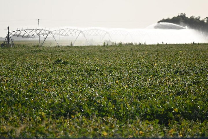 Optimize Those Last Few Irrigations | UNL Water | Nebraska